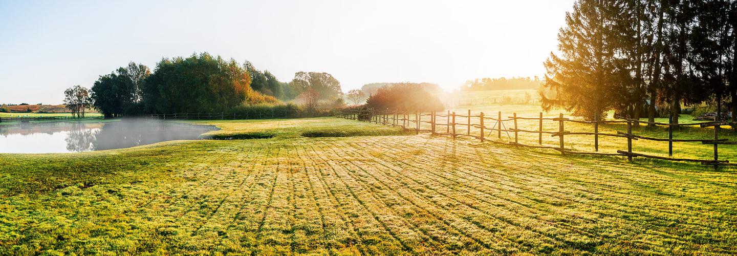 Investor 360 | Midwest Financial Group