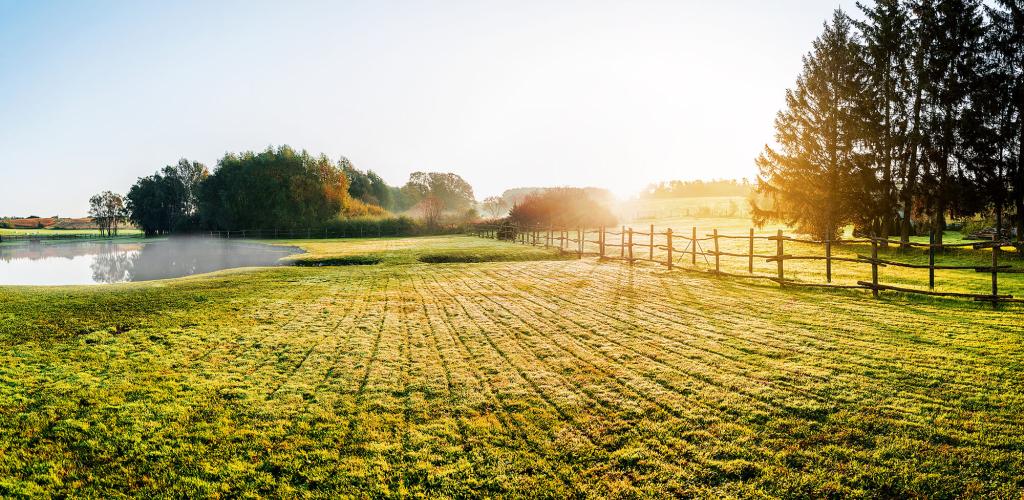 Investor 360 | Midwest Financial Group