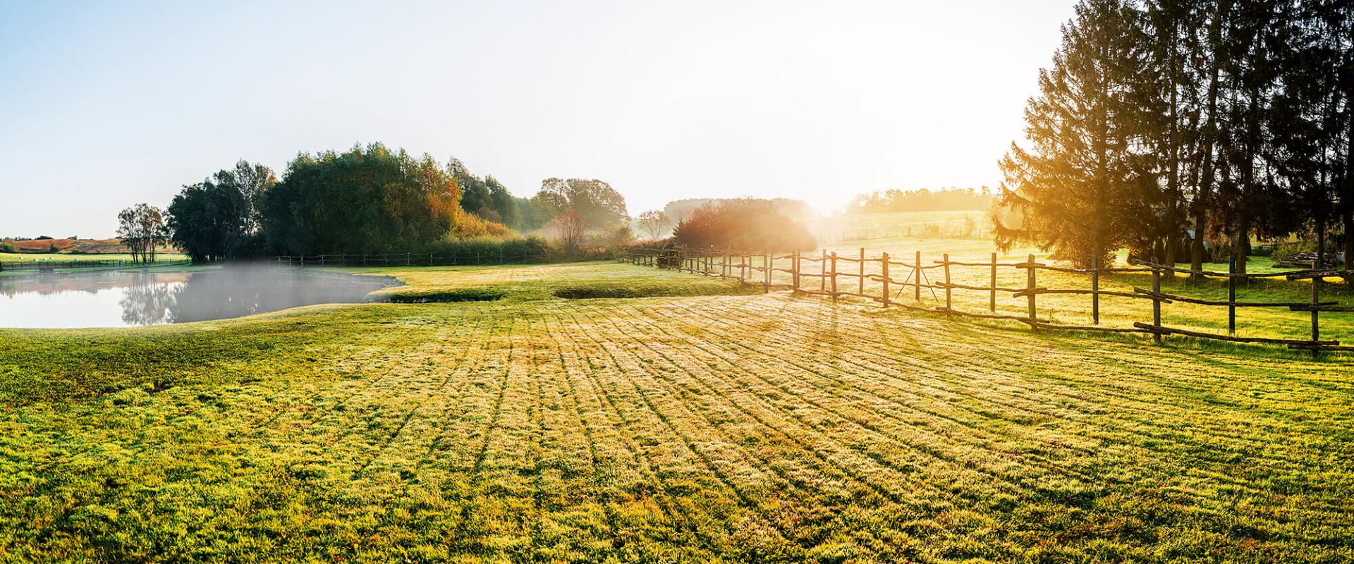 May 19, 2025 - IRS Sending Erroneous CP161 Notices for 2024 Form 1041 ...