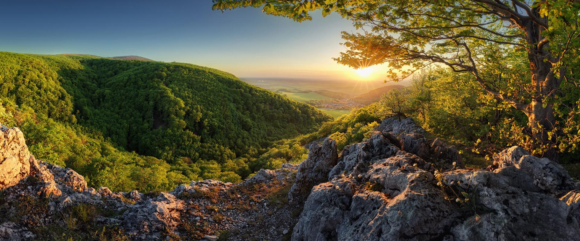 Our Story | Wealth Plans & Services | Midwest Financial