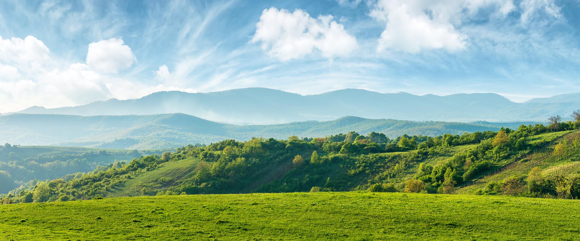 Wealth Investment Services | Contact Midwest Financial Group